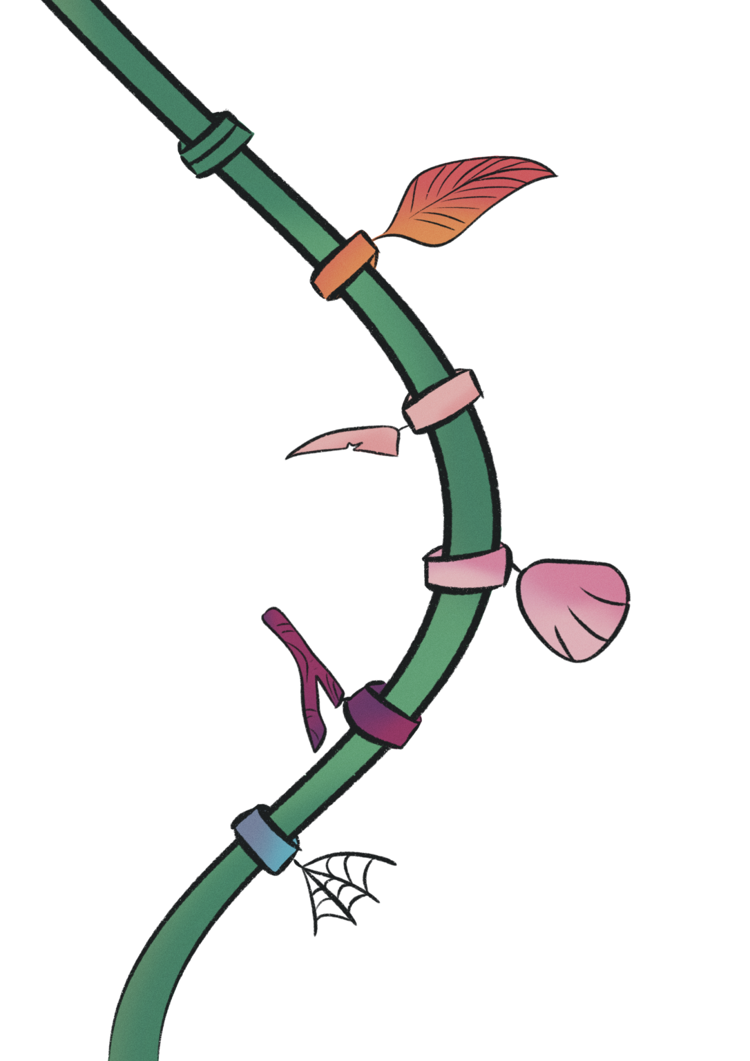 How to Use this Toolkit – ECO-UNESCO