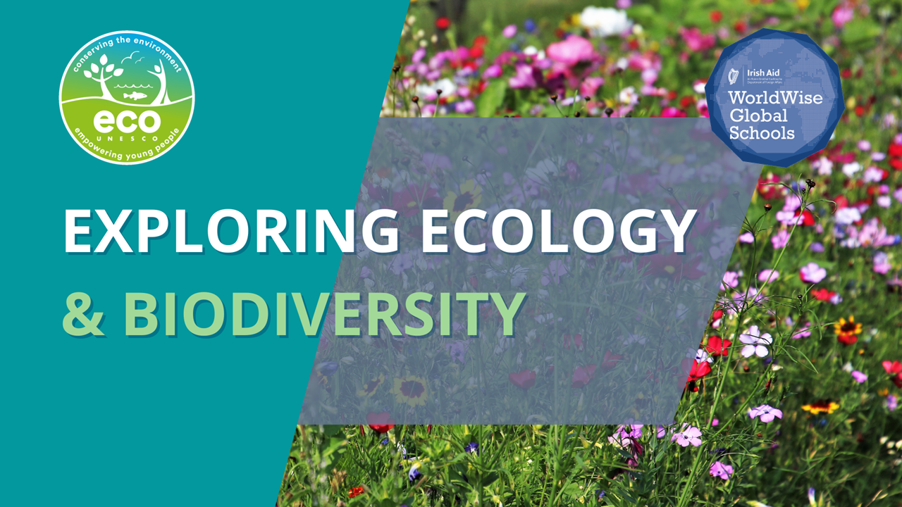 Exploring Ecology & Biodiversity Workshop – Funded by WWGS – ECO-UNESCO